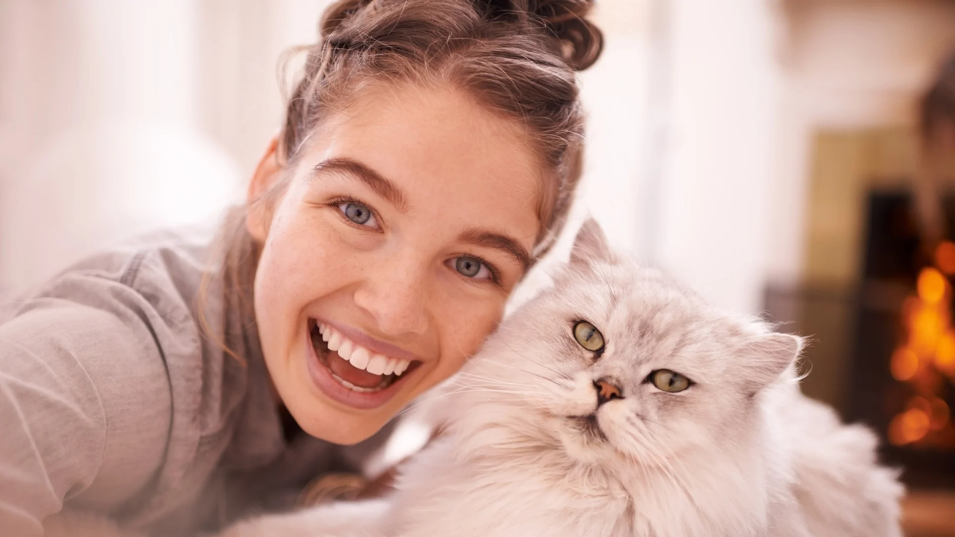 До колко години най-много живеят котките?